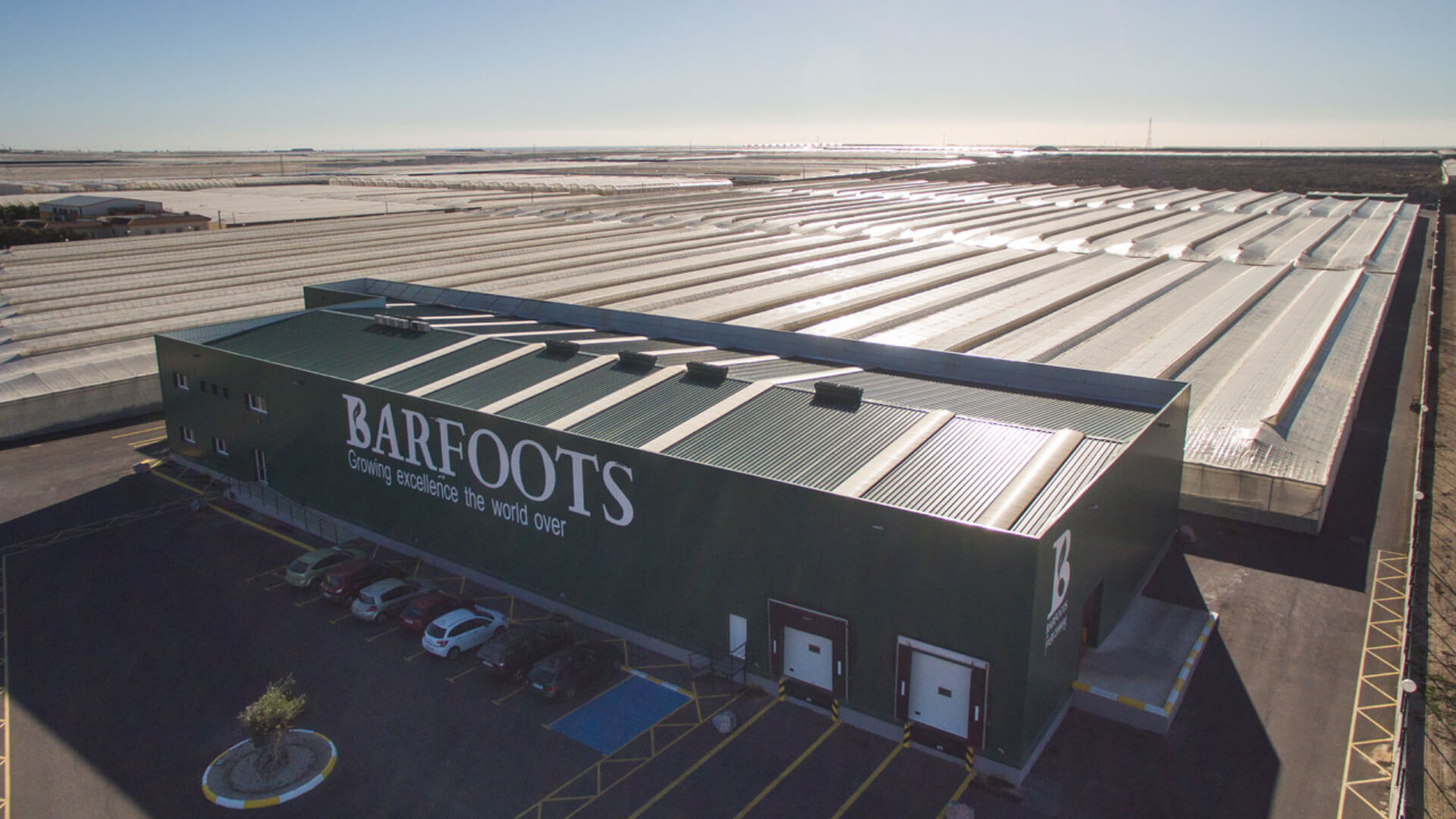 Barfoots España - Barfoots