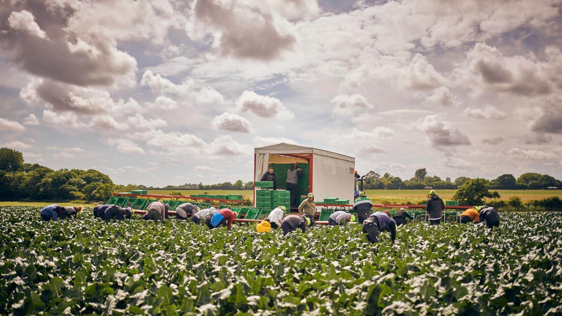 Barfoots UK - Barfoots